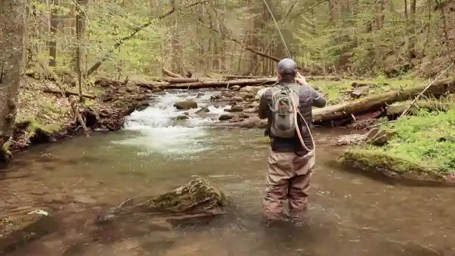 17 Best Locations to Fly Fishing in Pennsylvania
